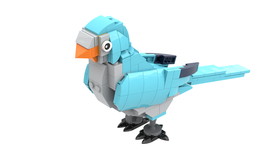Pebbles The Blue Quaker Parrot Brickshipsdesigns